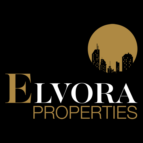 Our Portfolio